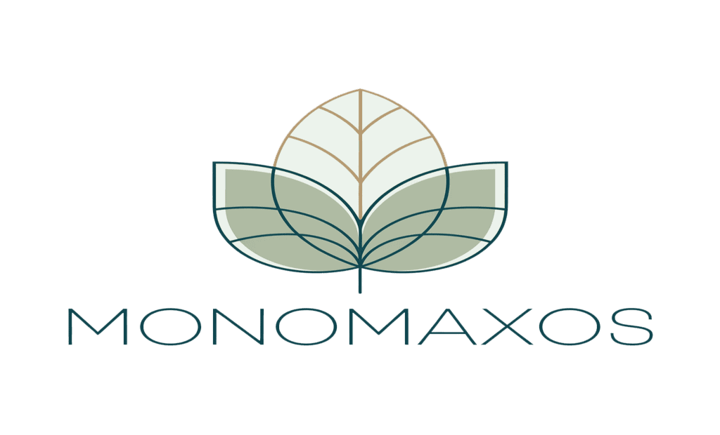 Blog ver.2 - Μονομάχος